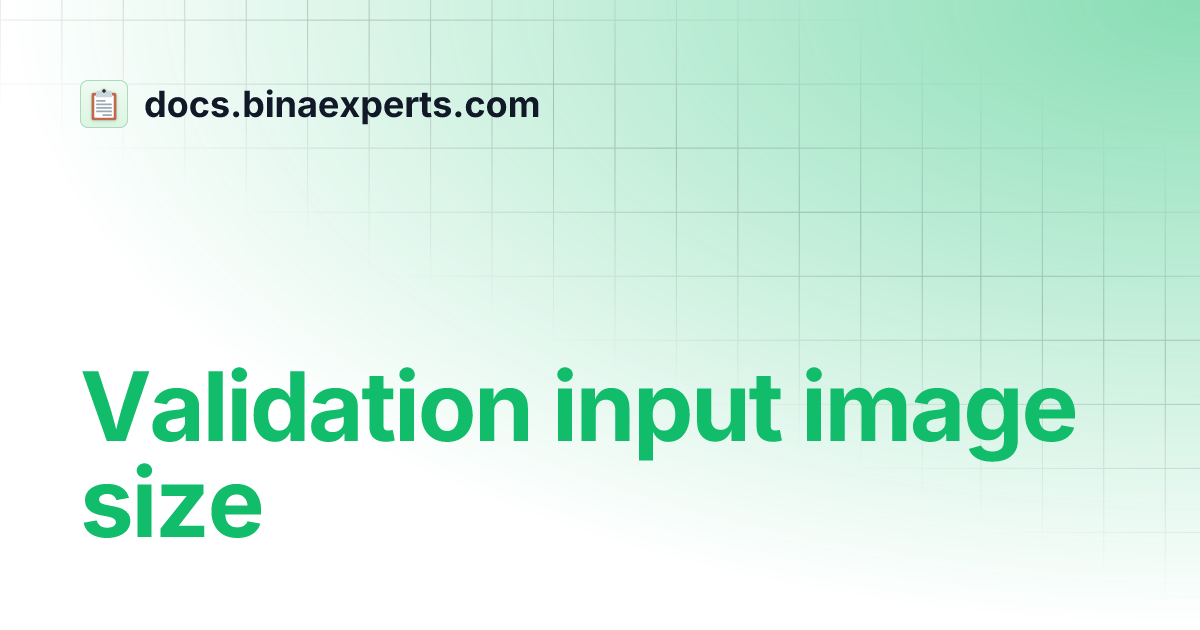 Validation input image size | docs.binaexperts.com